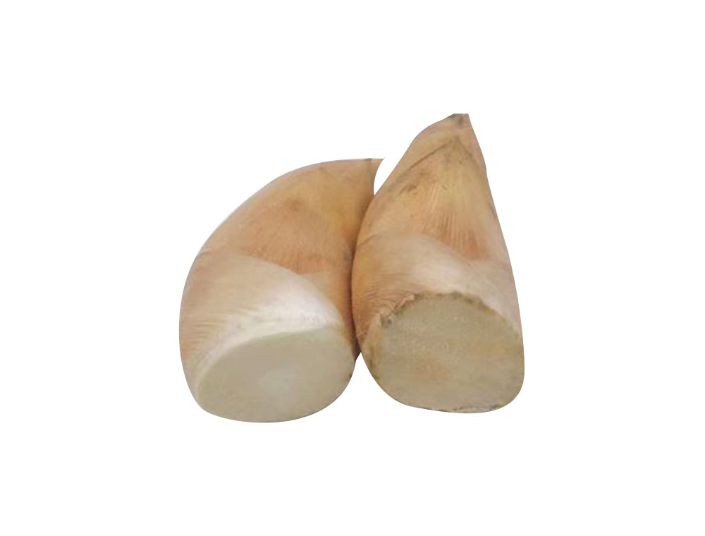 Winter Bamboo Shoot 0.7-1.1 lbs | FreshGoGo