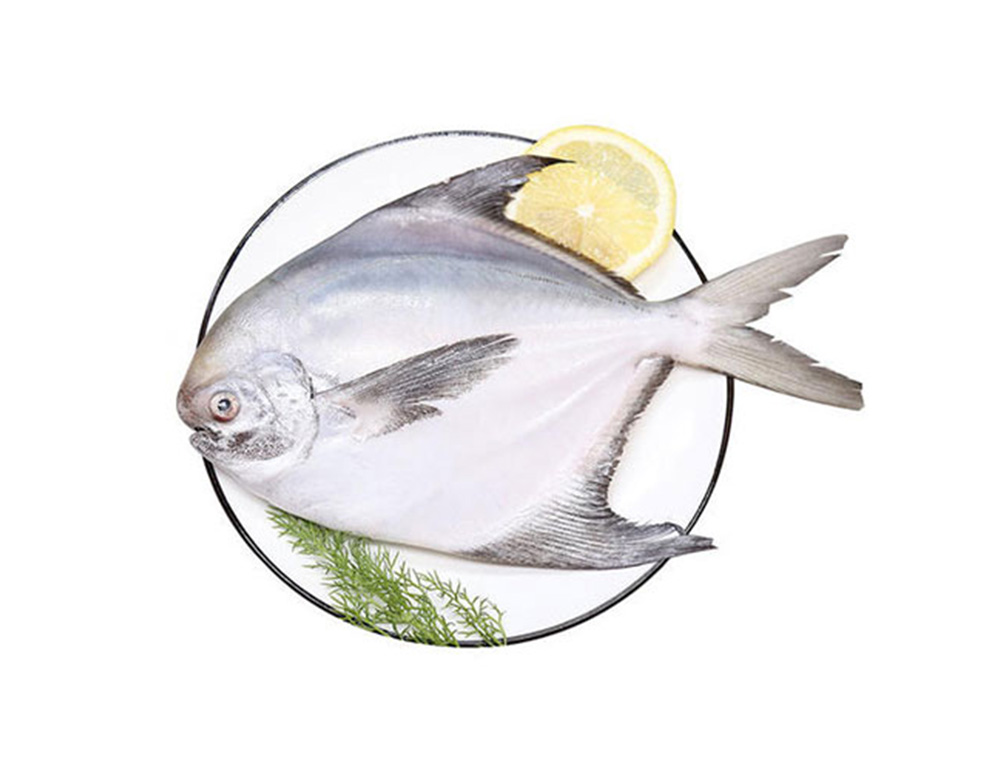 White Pomfret 0.6-0.8 lb | FreshGoGo