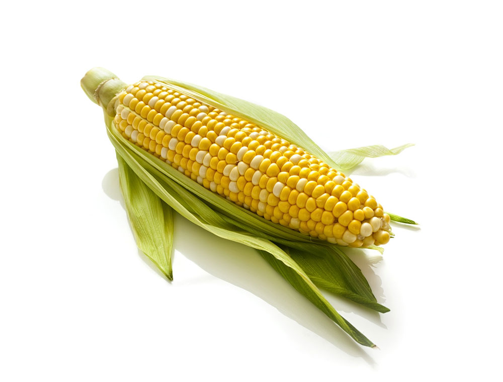 Bi-color Sweet Corn 3 pc | FreshGoGo