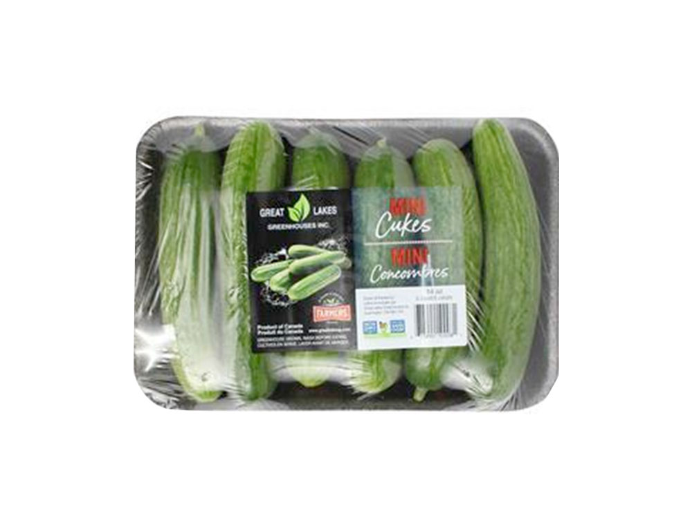 Persian cucumber (tray) (Limited) 14 oz | FreshGoGo